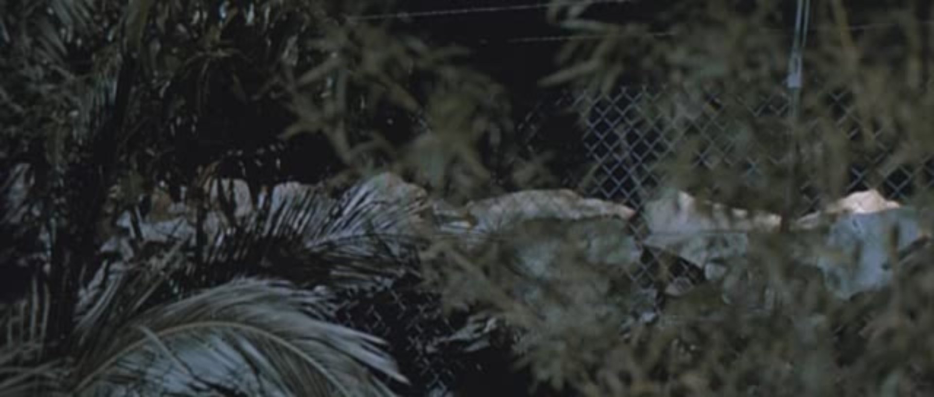 2467 Naznaczony śmiercią - C - patrz.pl